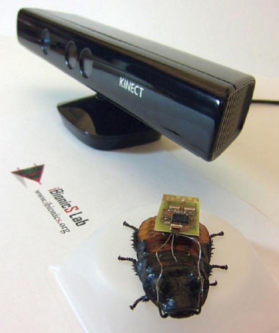 Remotely Controlling Cockroaches with Video Games [Video] : Science ...